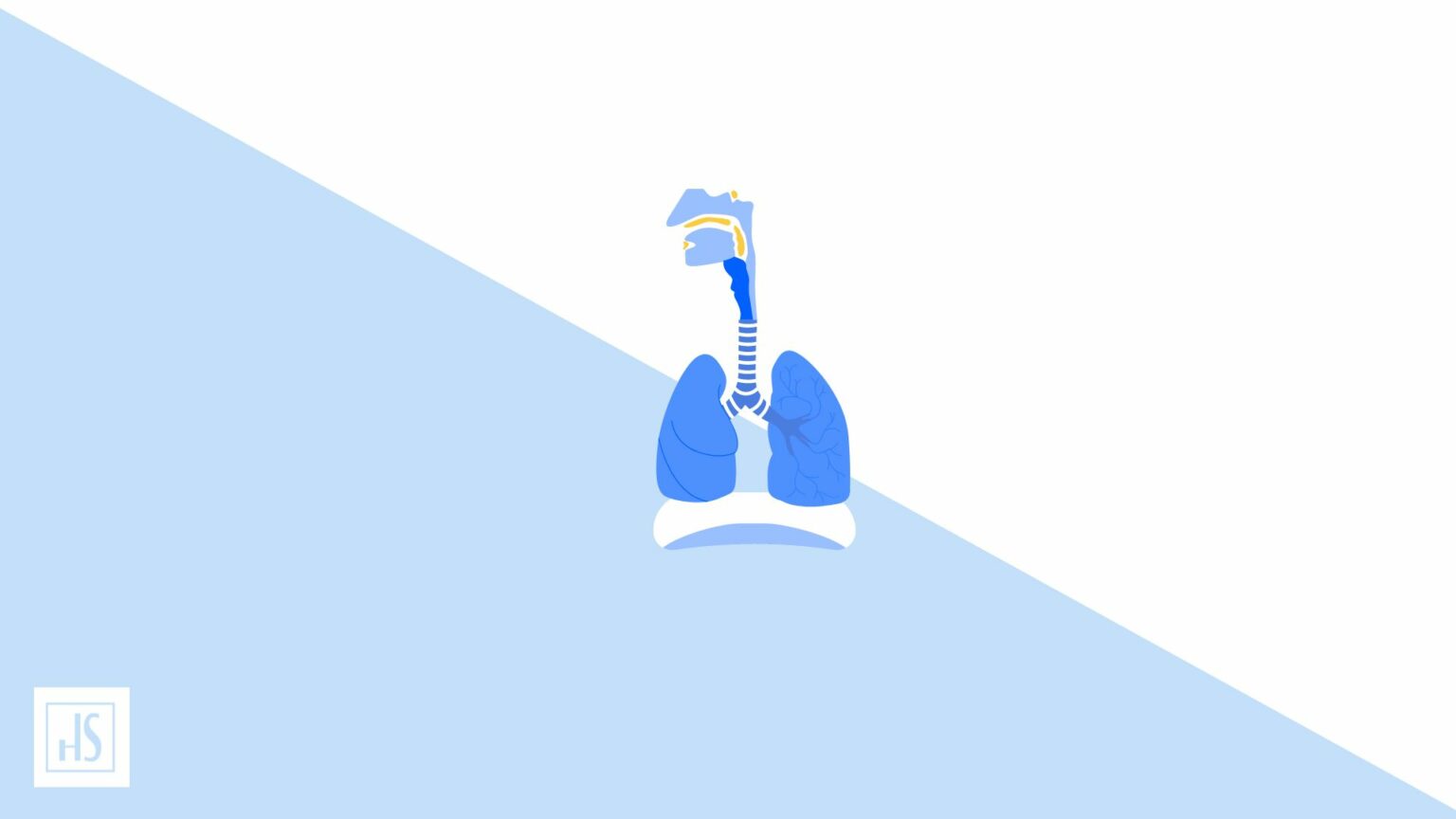 Spanish classes online | Handyspanish